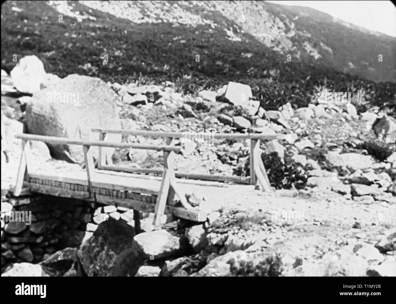 Nosferatu 1922 vintage movie screen Stock Photo - Alamy