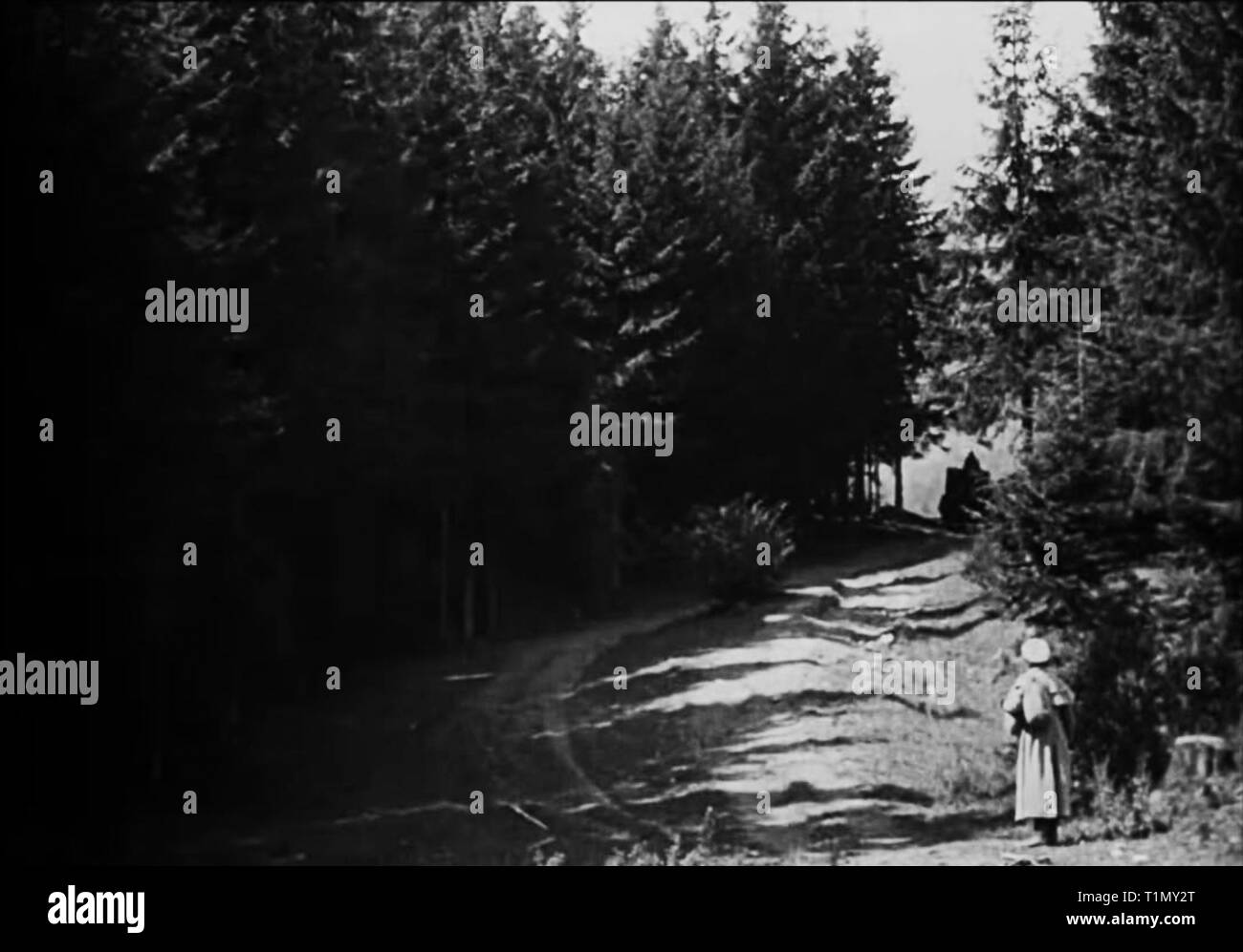 Nosferatu 1922 vintage movie screen Stock Photo - Alamy