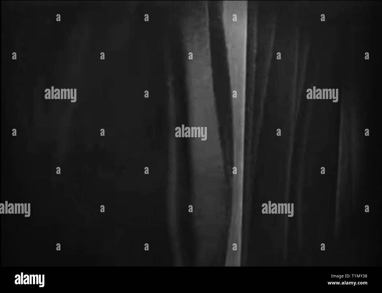 Nosferatu 1922 vintage movie screen Stock Photo - Alamy