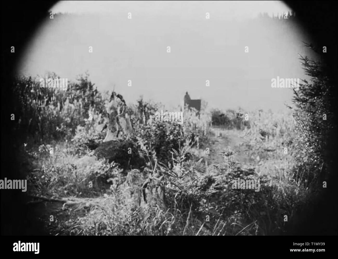 Nosferatu 1922 vintage movie screen Stock Photo - Alamy