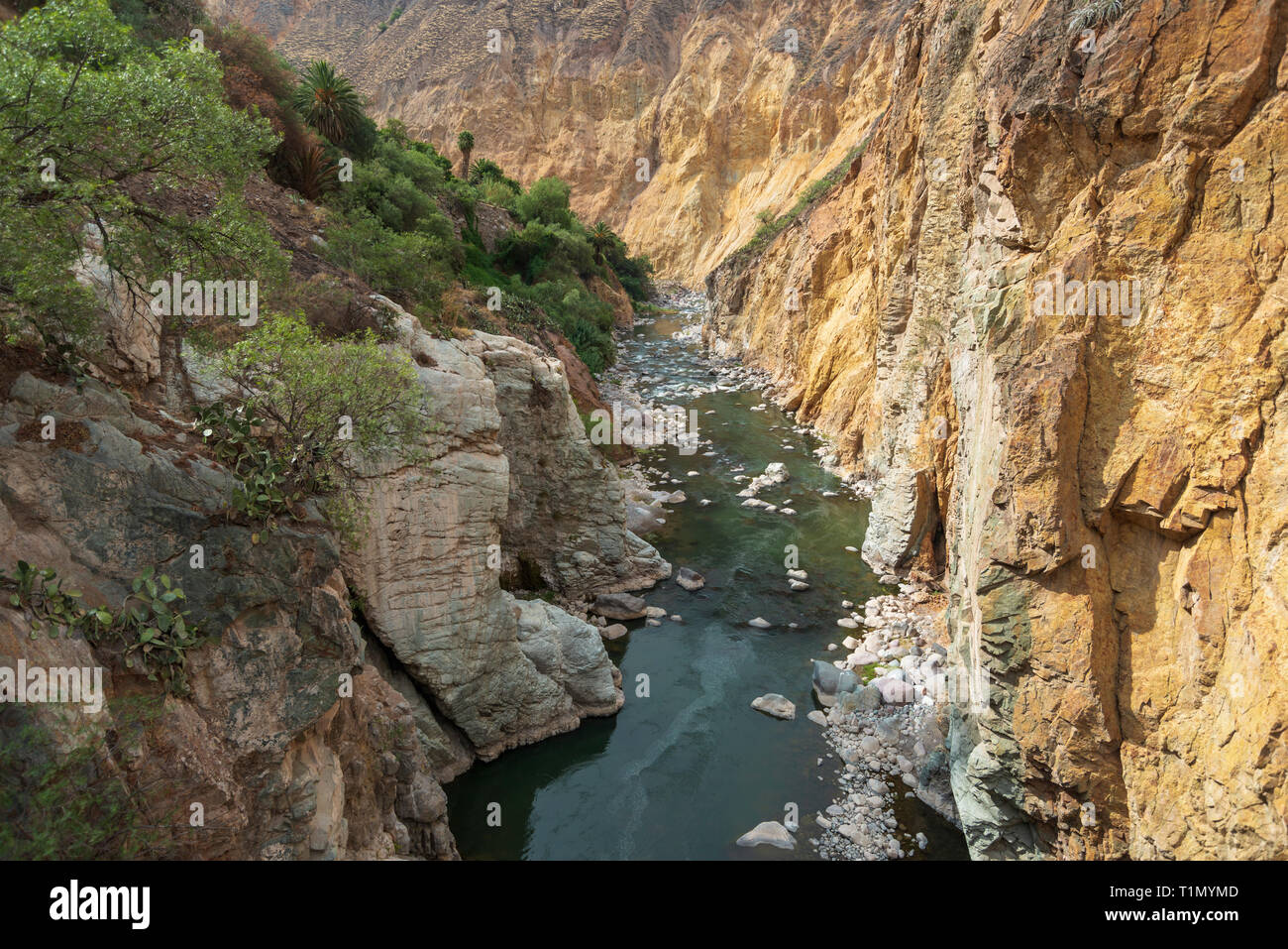 deep rocky Colca river canyon in Peru by sunny evening Stock Photo - Alamy