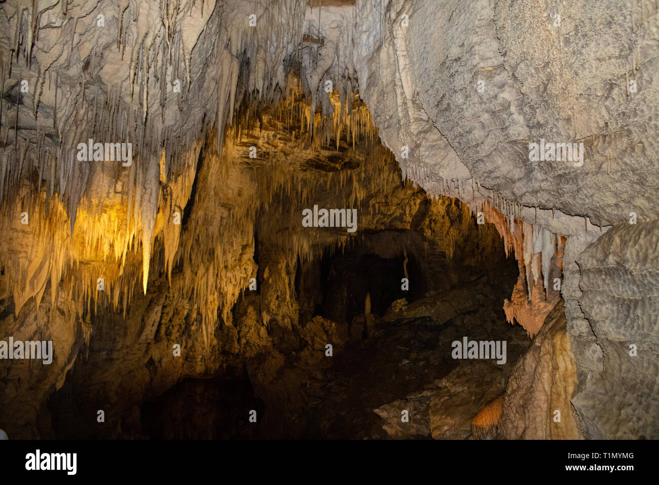 The stalactites in Ruakuri Cave, Waitomo, North Island, New Zealand ...