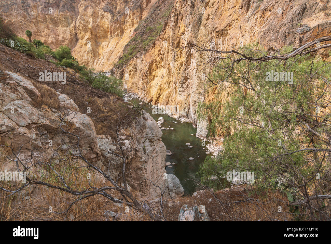 view from above to deep rocky Colca river canyon in Peru by sunny ...