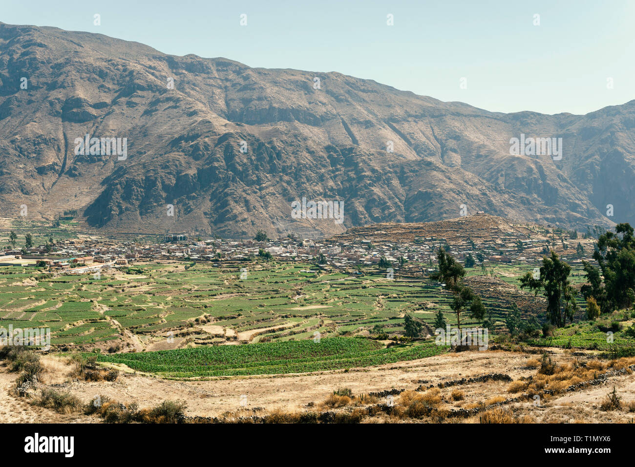 traditional Incas terraced fields in green valley by sunny morning ...
