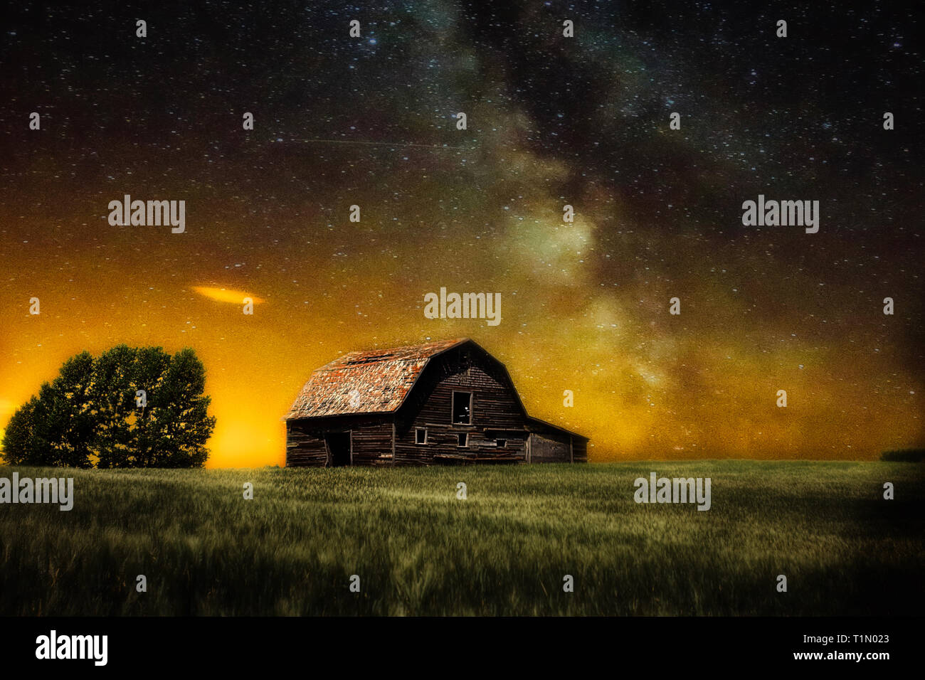 An old wooden barn under a yellow milky way sky in a nighttime ...