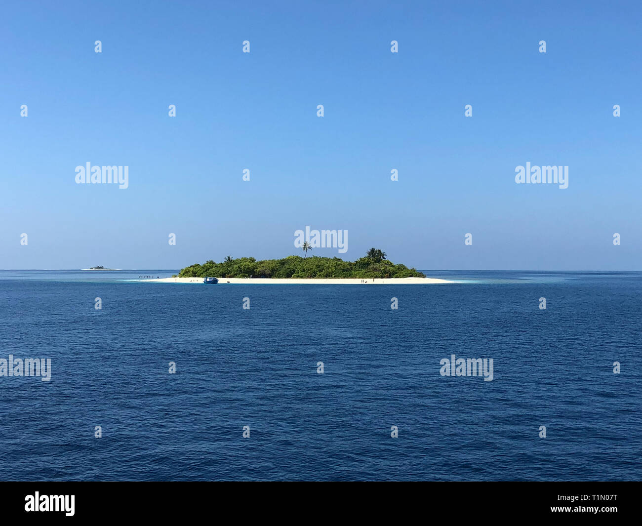 Beautiful small atoll island with one palm tree in the Maldives with ...