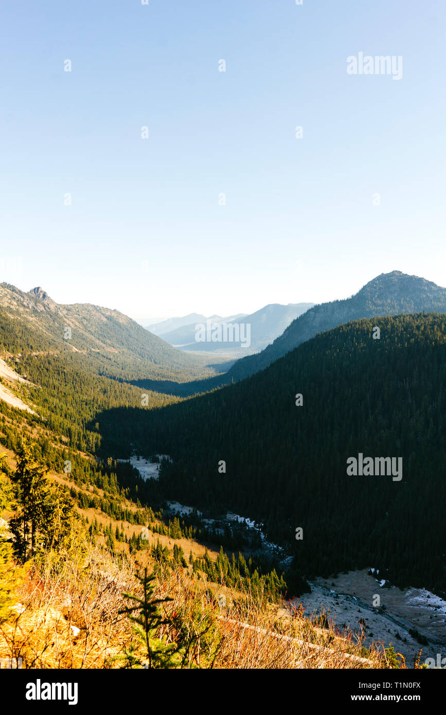 Sheep trail hi-res stock photography and images - Alamy