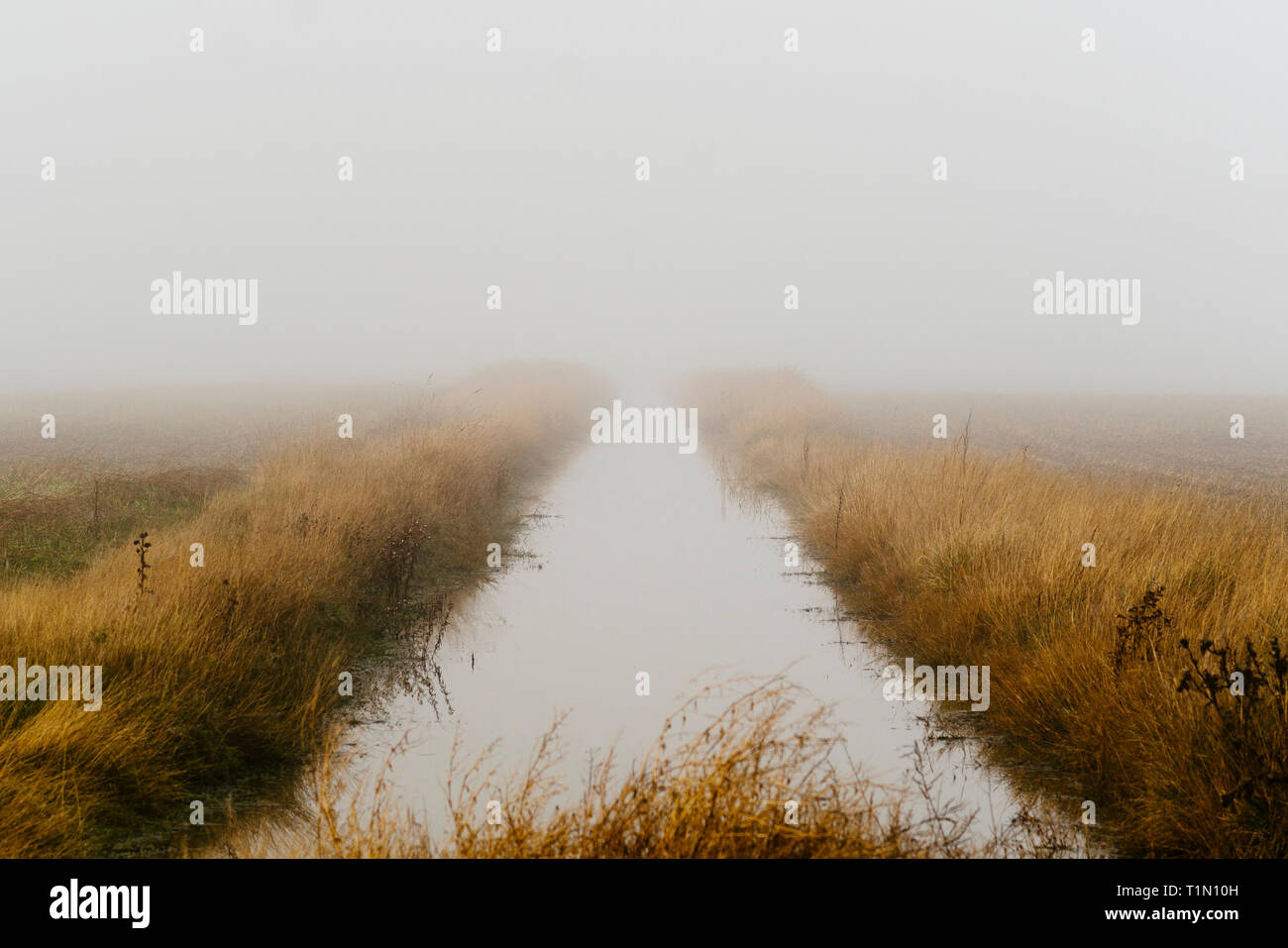 Agricultural wetland hi-res stock photography and images - Alamy