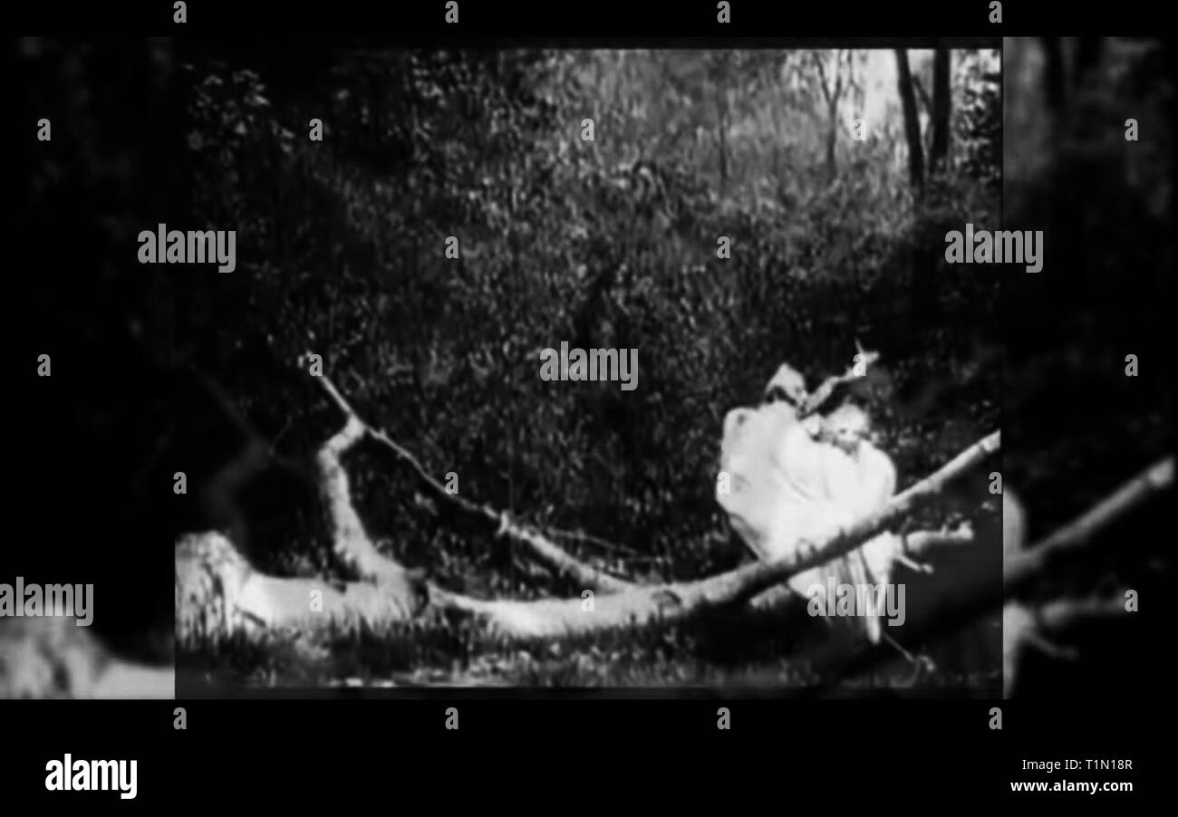 vintage creepy screenshot from a 1900's horror movie Stock Photo - Alamy