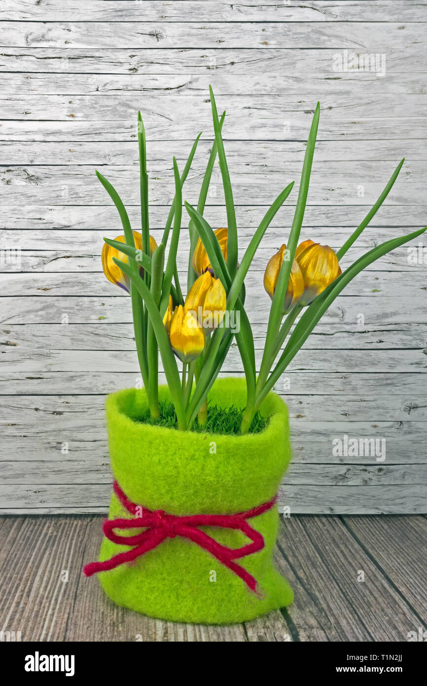 Spring with tulips hi-res stock photography and images - Alamy