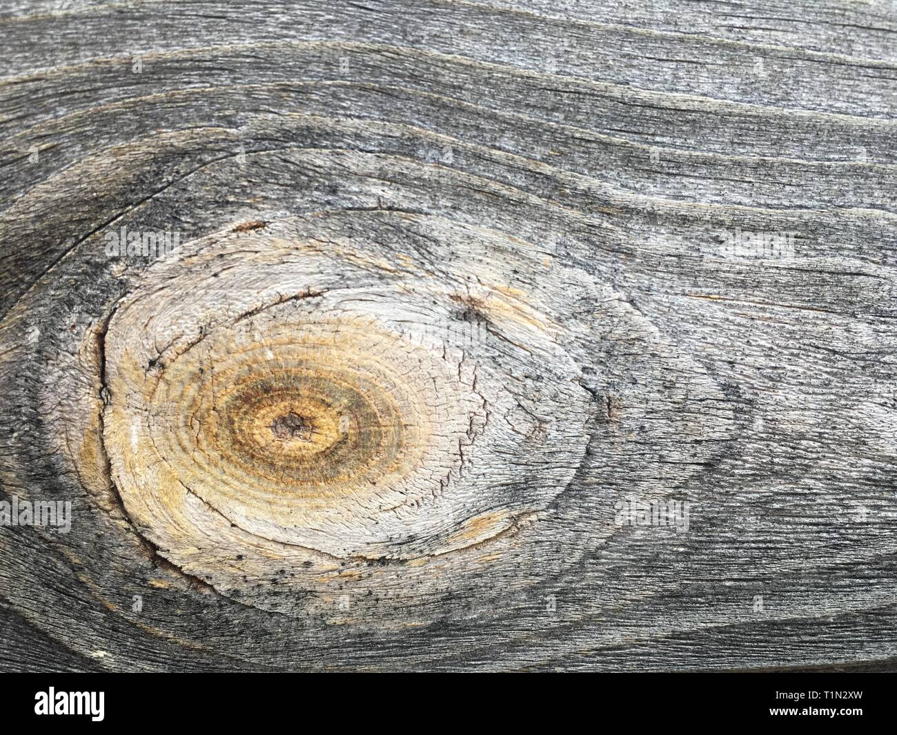 Rough wood texture with copyspace for design, wooden background, rough ...