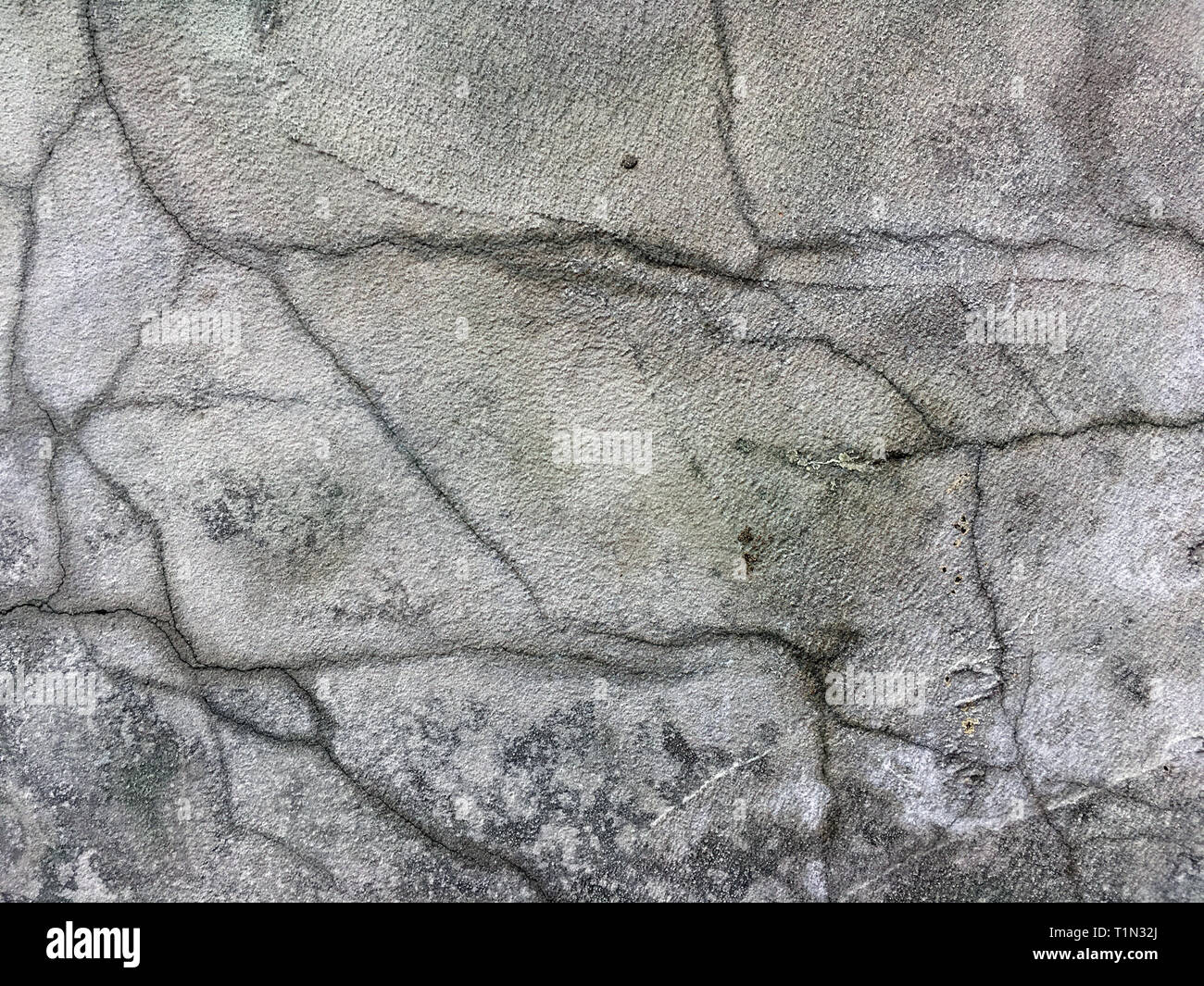Cracked uneven putty texture. Rough and grungy background of putty ...