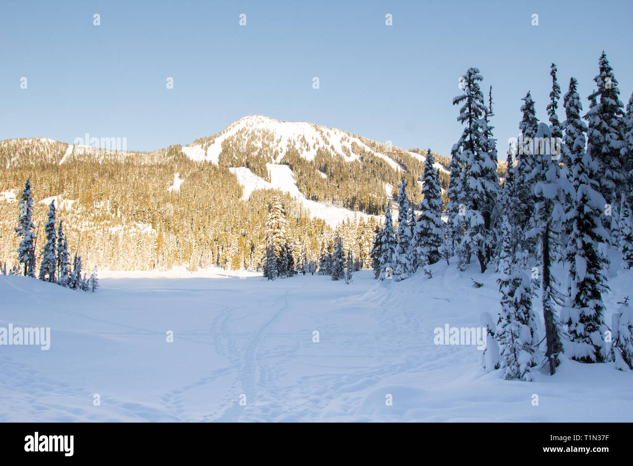 Snowy landscape with ski hill in the distance Stock Photo - Alamy