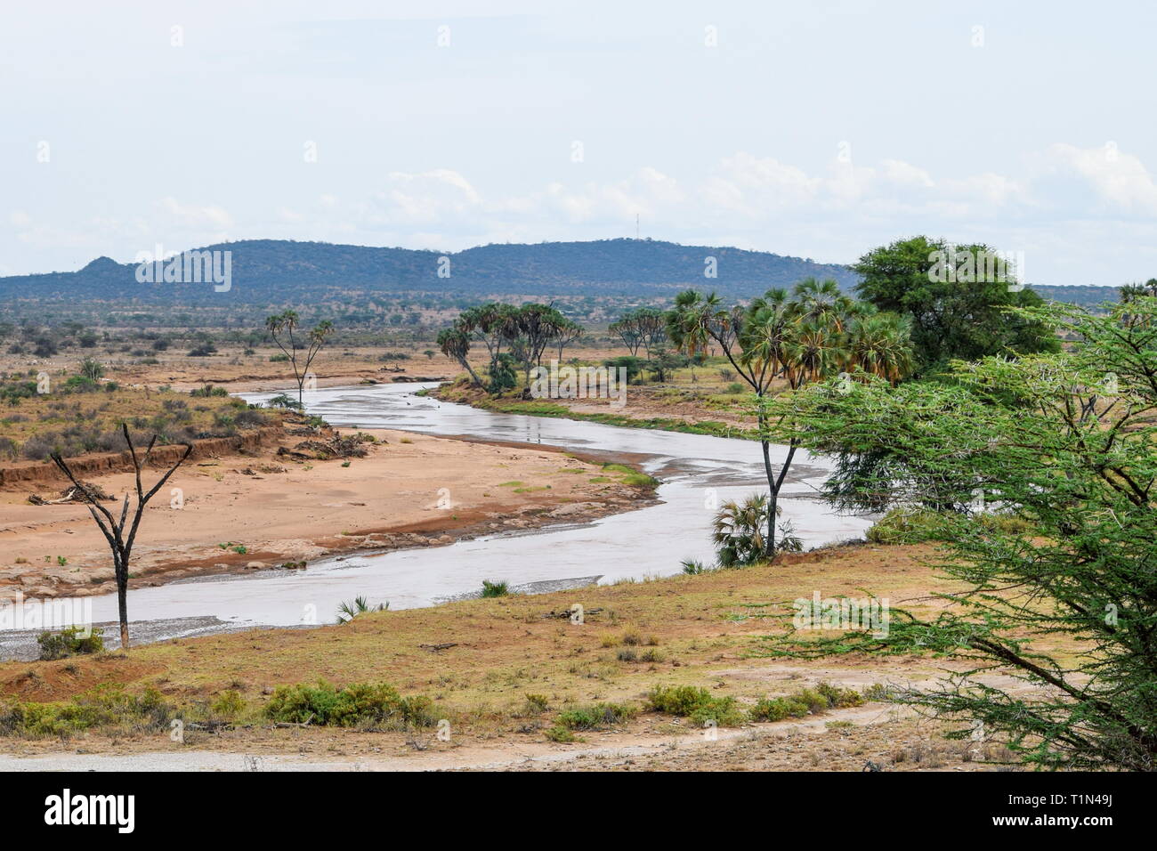Ewaso nyiro river hi-res stock photography and images - Alamy