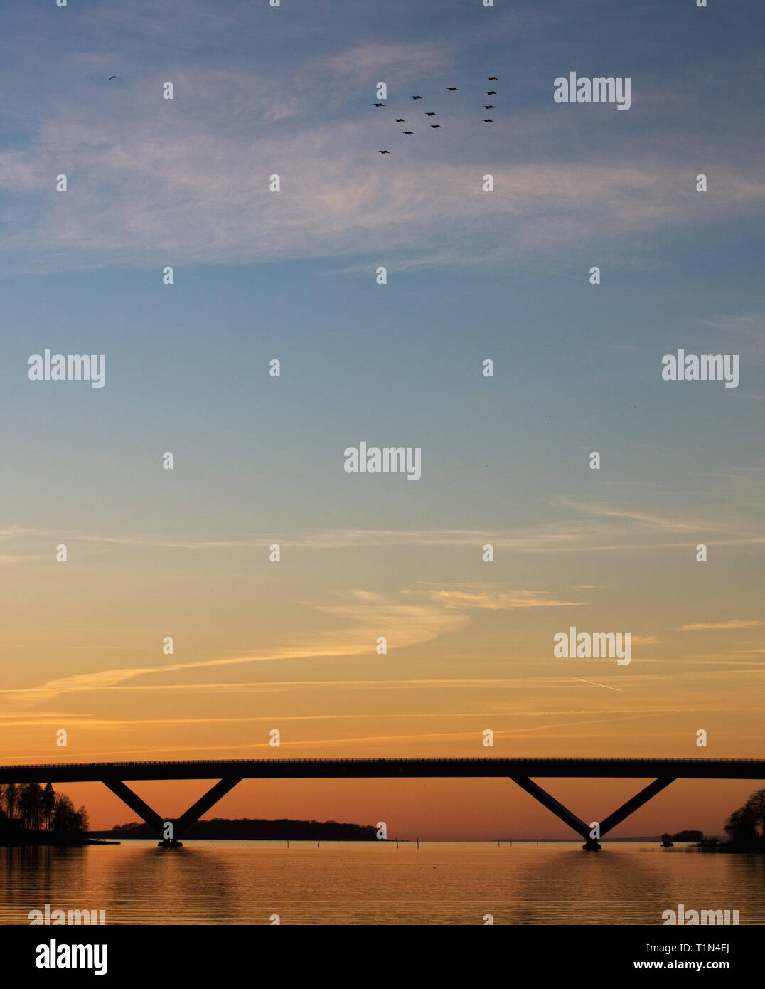 Motalabron hi-res stock photography and images - Alamy