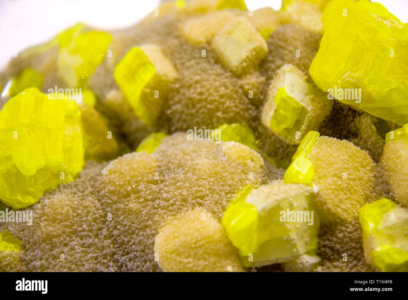 Aragonite mineral sample on hi-res stock photography and images - Alamy