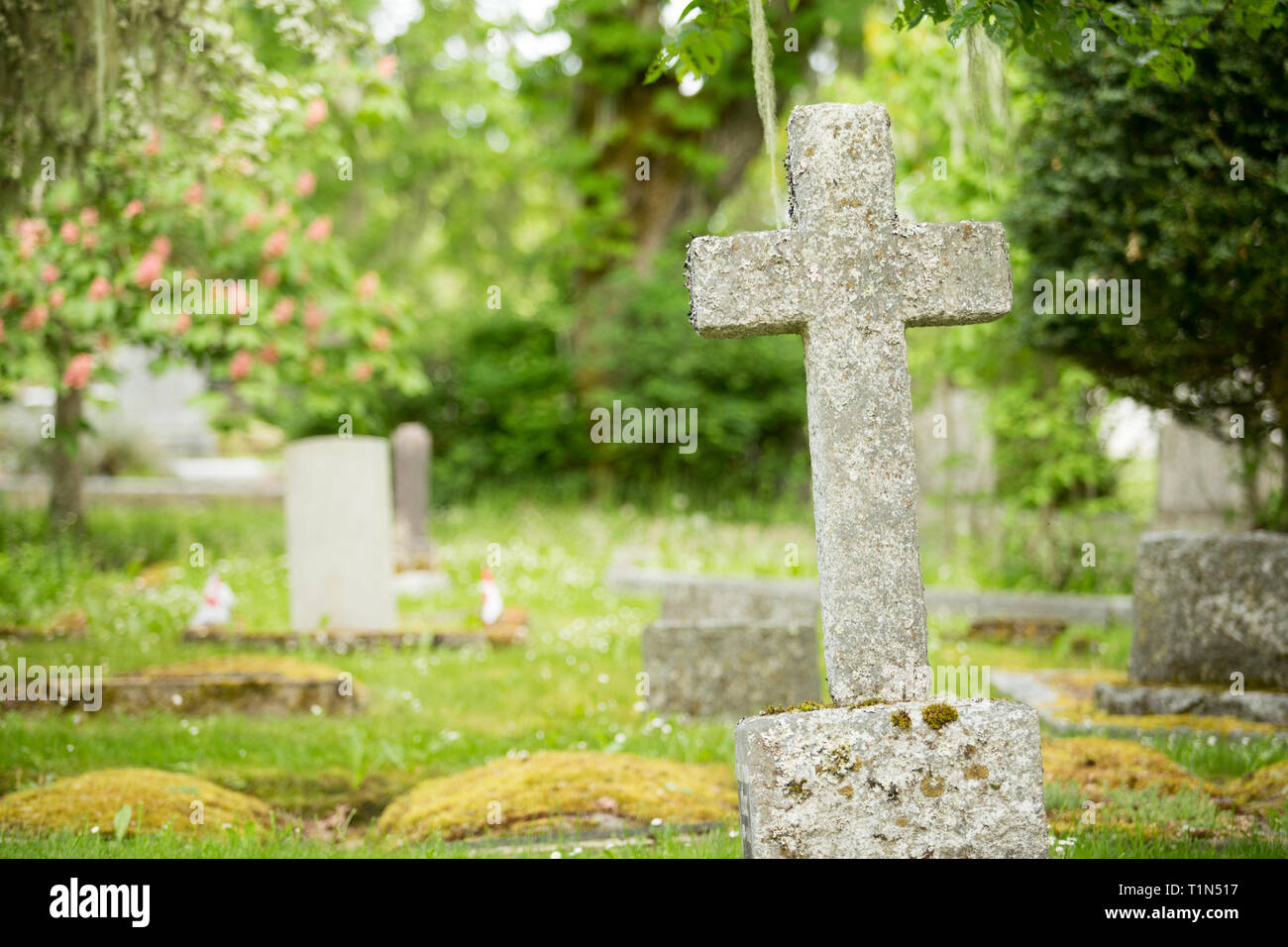 Old cross in cemetary hi-res stock photography and images - Alamy