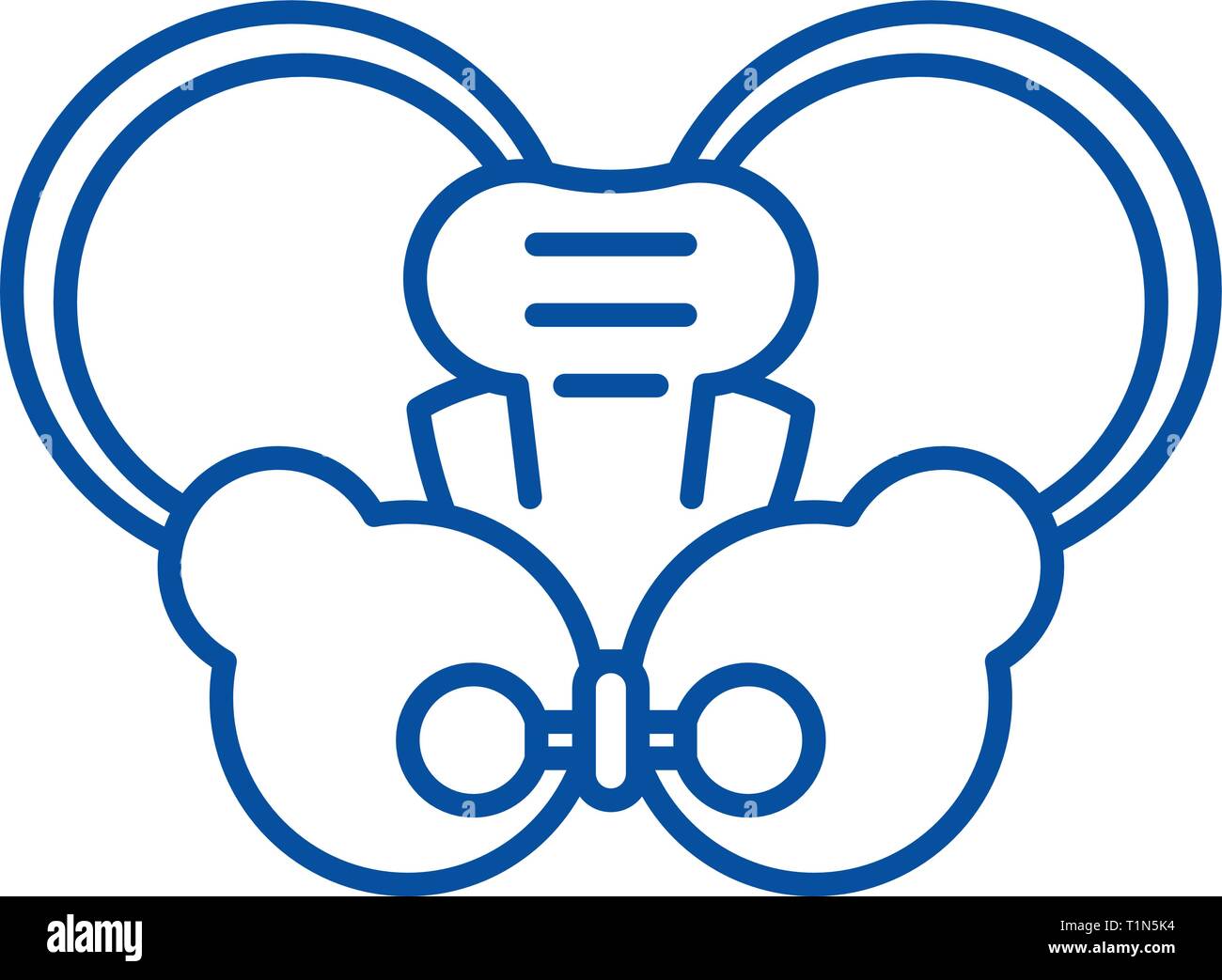 Hip Skeleton High Resolution Stock Photography and Images - Alamy