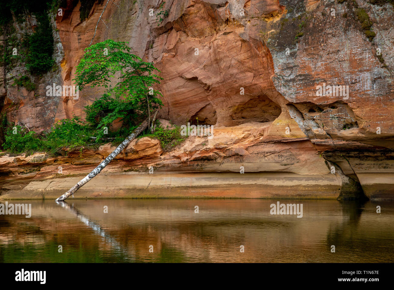 Closeup of sandstone cliff formation with cave on bank of river Gauja ...