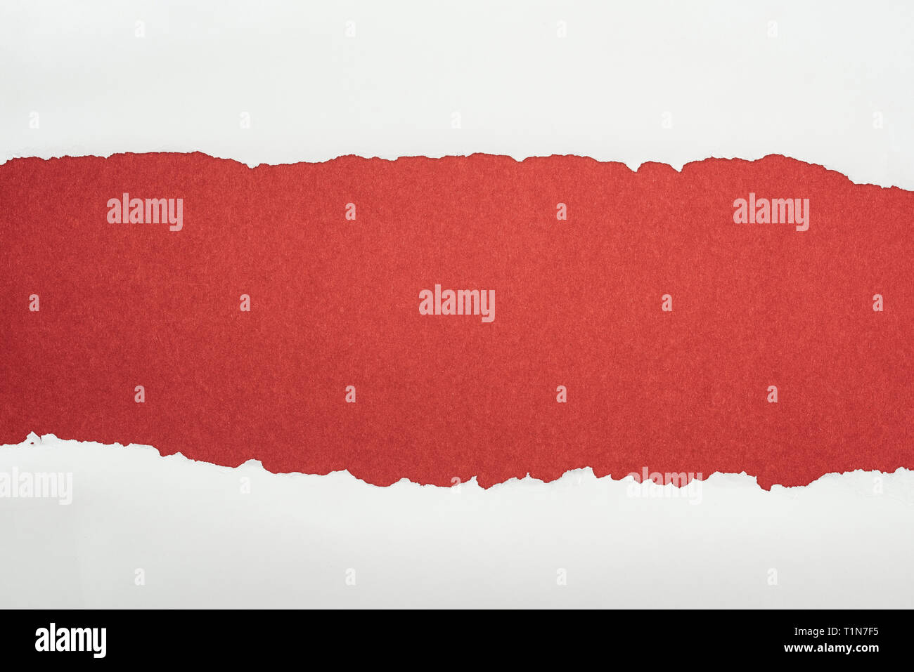 ragged white textured paper with copy space on burgundy background ...