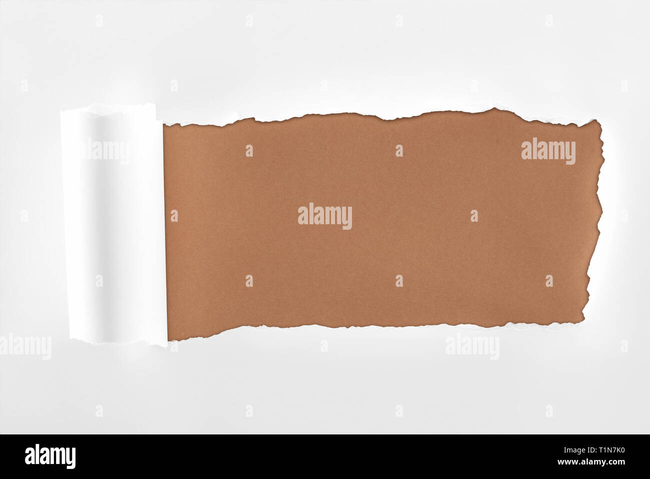 tattered white paper with rolled edge on brown background Stock Photo ...