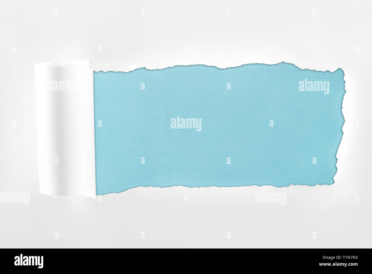 ragged textured white paper with rolled edge on light blue background ...