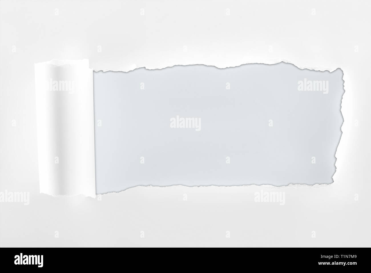 ragged textured paper with rolled edge on white background Stock Photo ...