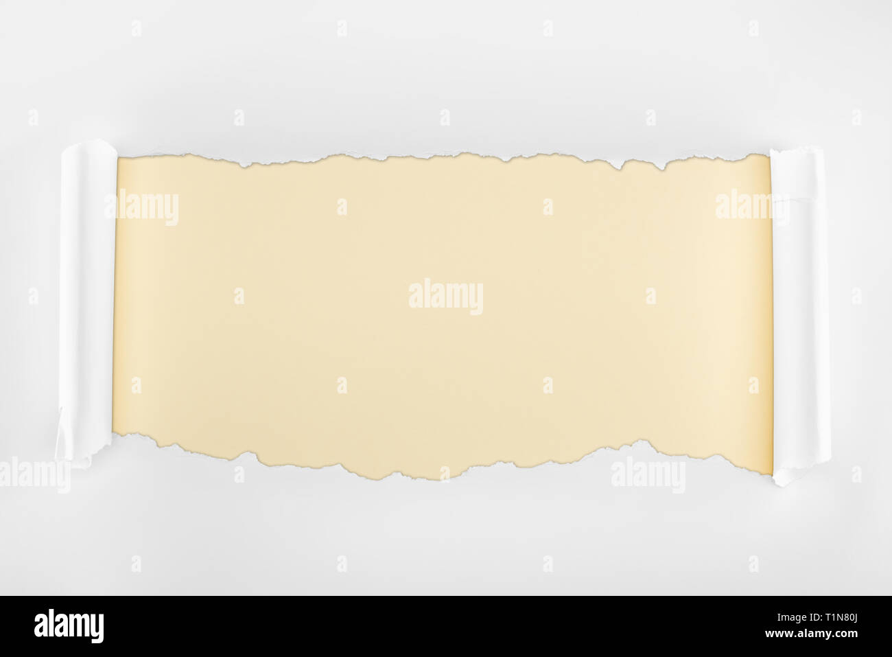 ripped textured white paper with curl edges on beige background Stock ...