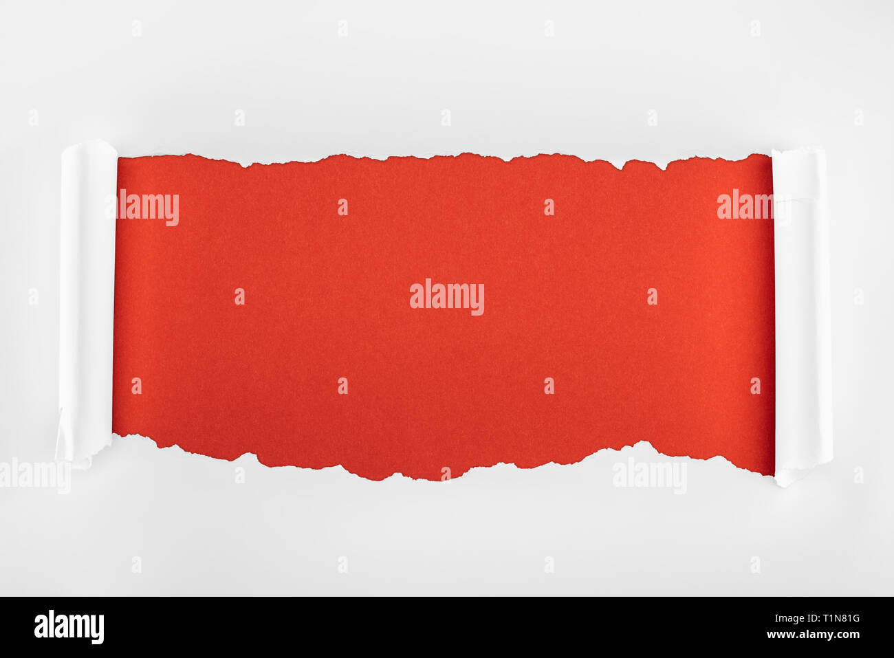 ripped white textured paper with curl edges on red background Stock ...