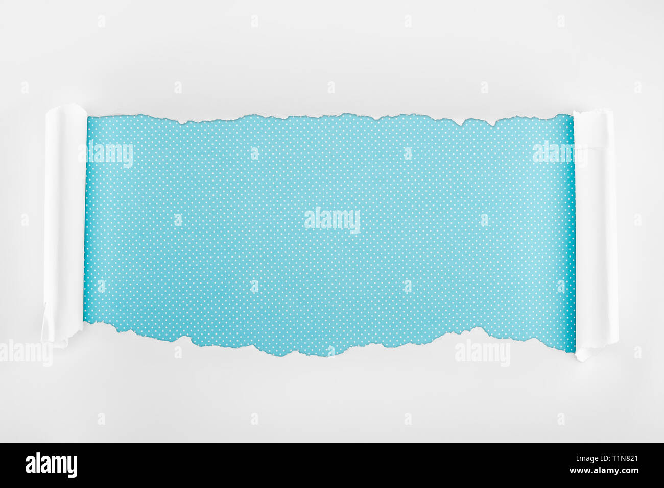 ripped white textured paper with curl edges on blue dotted background ...