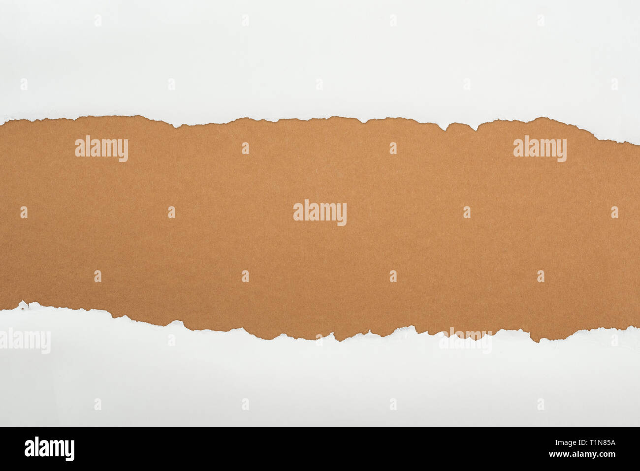 ragged white textured paper with copy space on brown background Stock ...