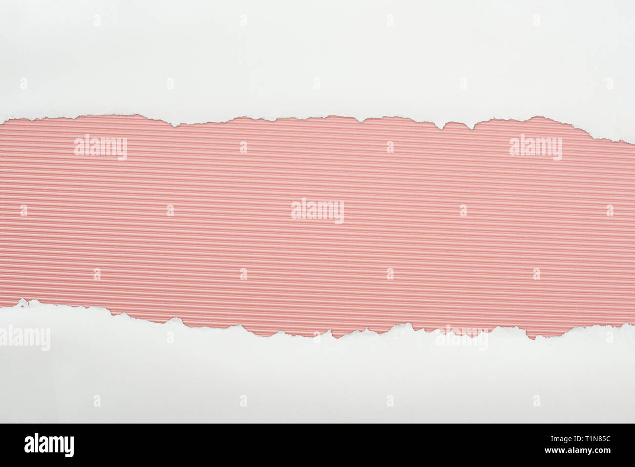 ripped white textured paper with copy space on pink striped background ...