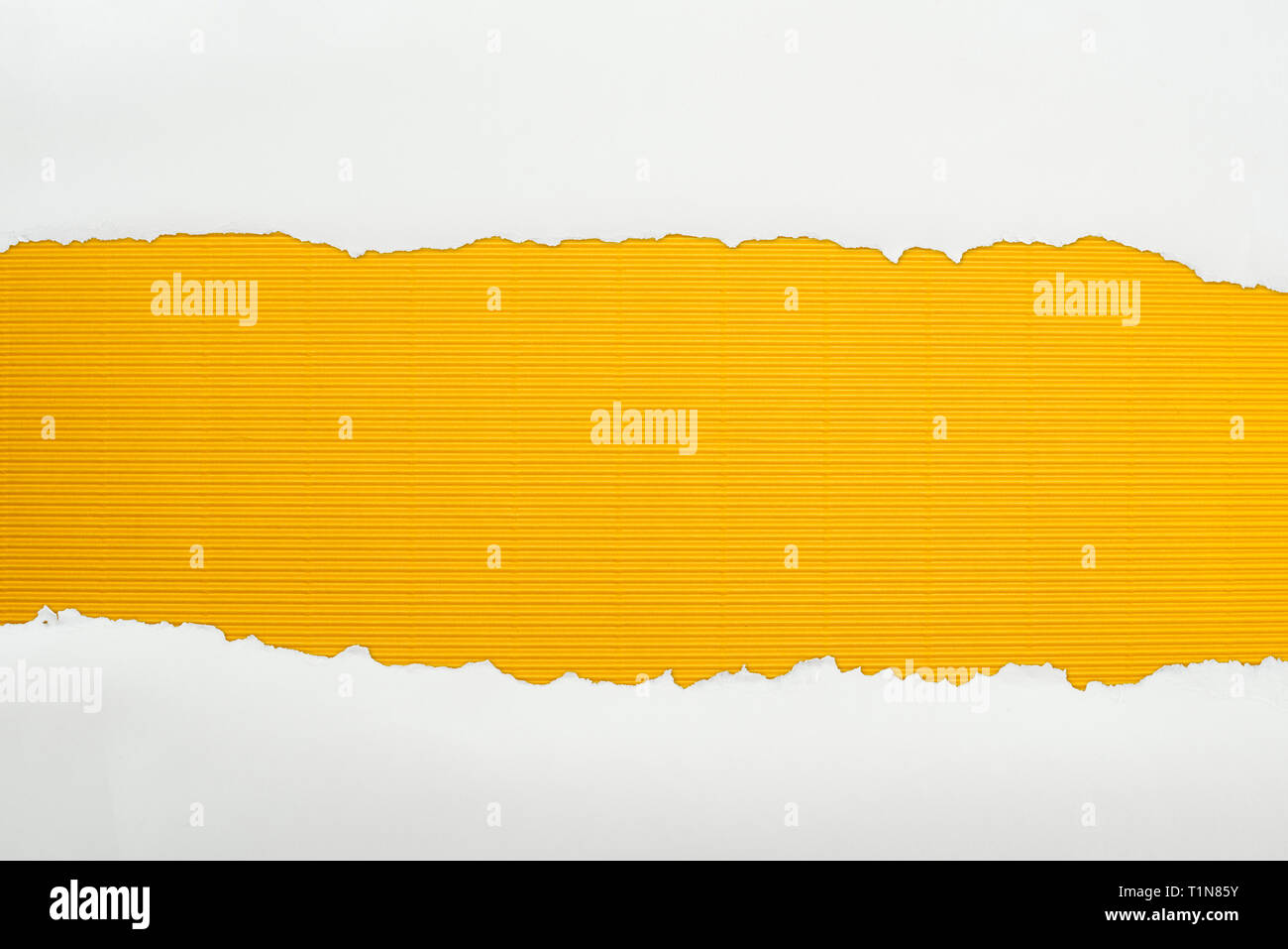 ripped white textured paper with copy space on yellow striped ...