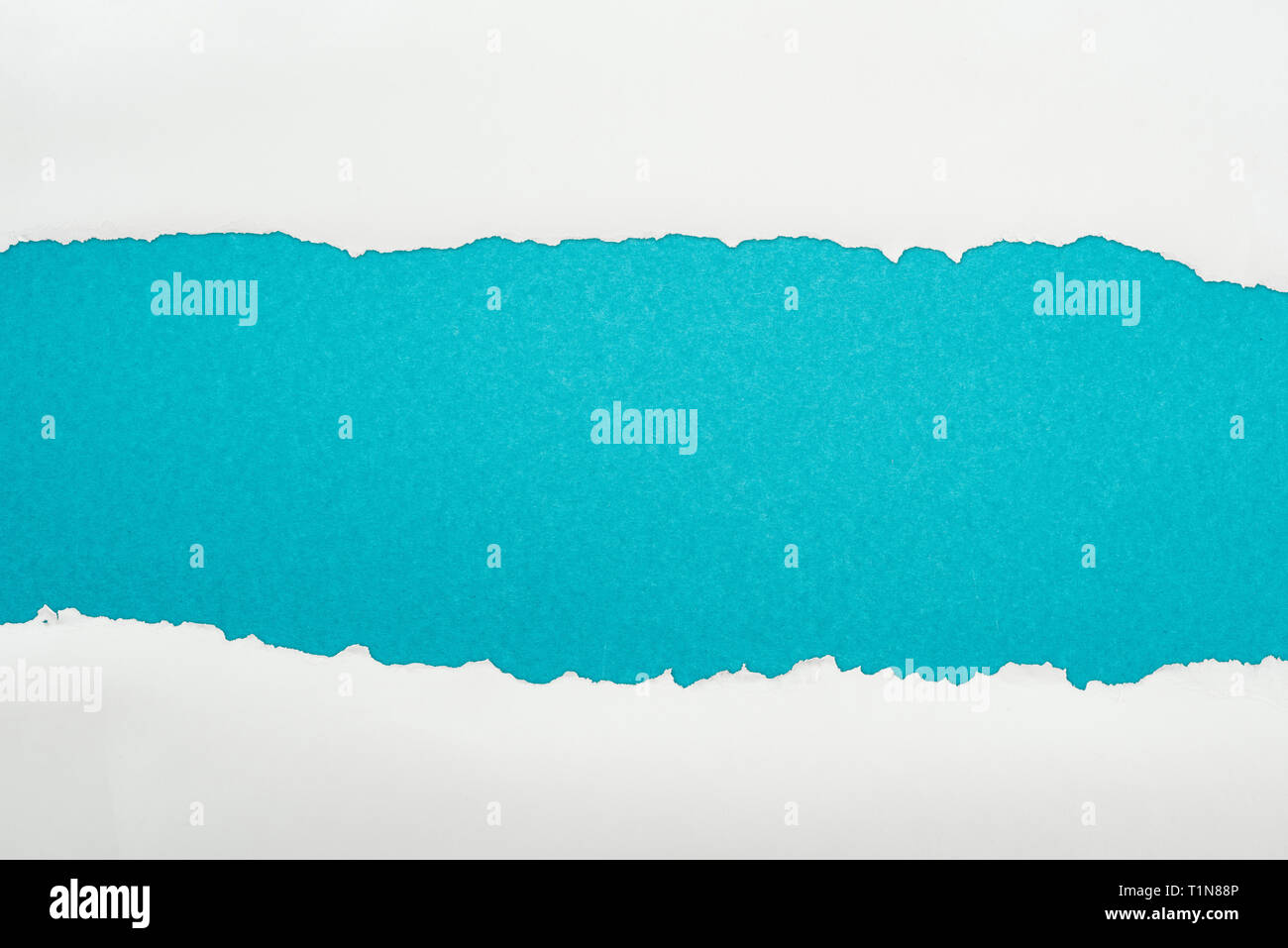 ragged white paper with copy space on blue background Stock Photo - Alamy