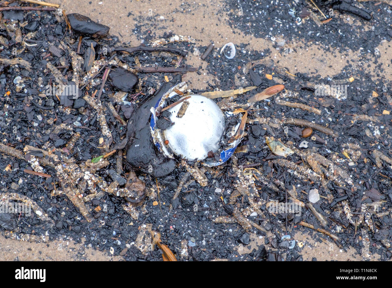 Environmental image of Pollution with the remains of a aluminium drinks ...