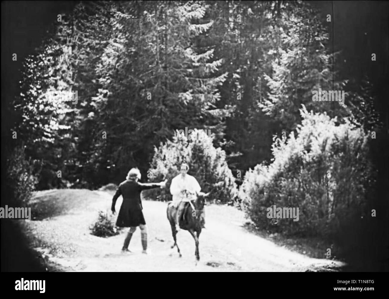 Nosferatu 1922 vintage movie screen Stock Photo - Alamy