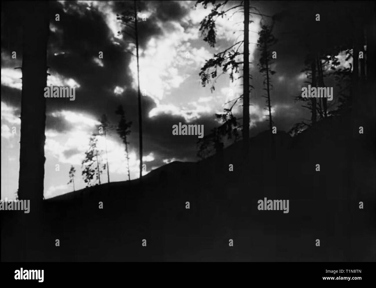 Nosferatu 1922 vintage movie screen Stock Photo - Alamy