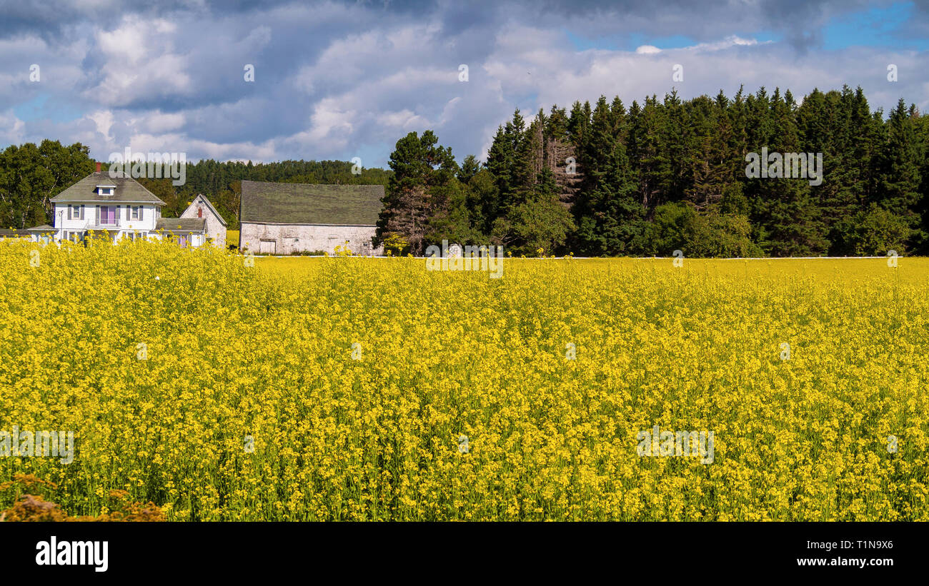 Rural canada hi-res stock photography and images - Alamy