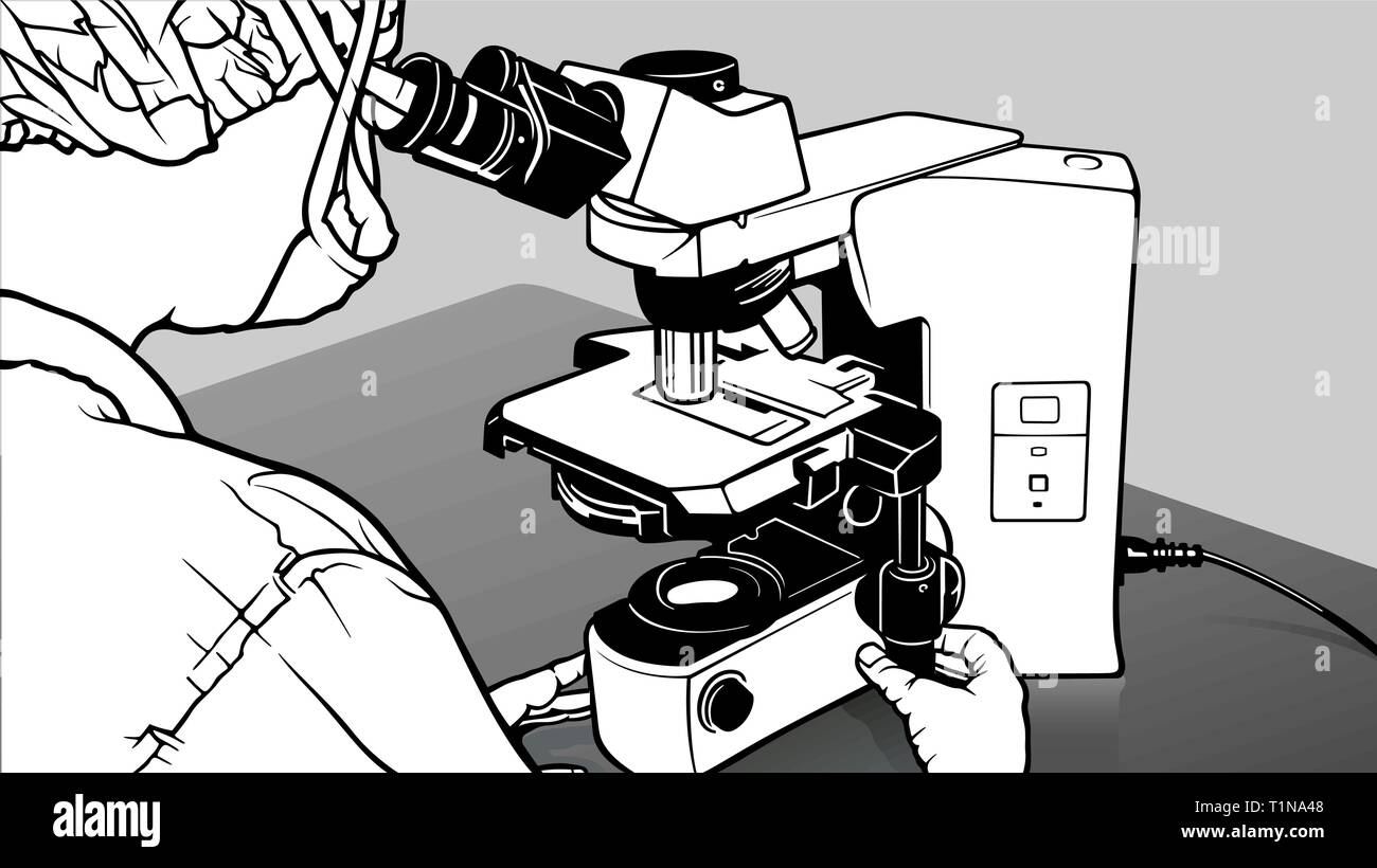 Laboratory Technician Looking Through a Microscope Stock Vector Image ...