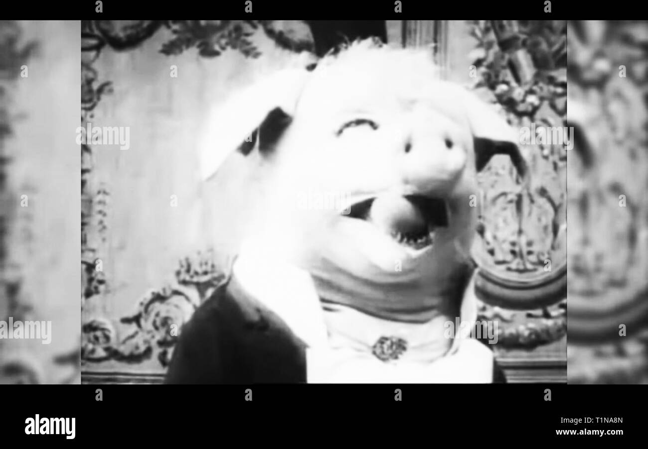 Dancing Pig 1907