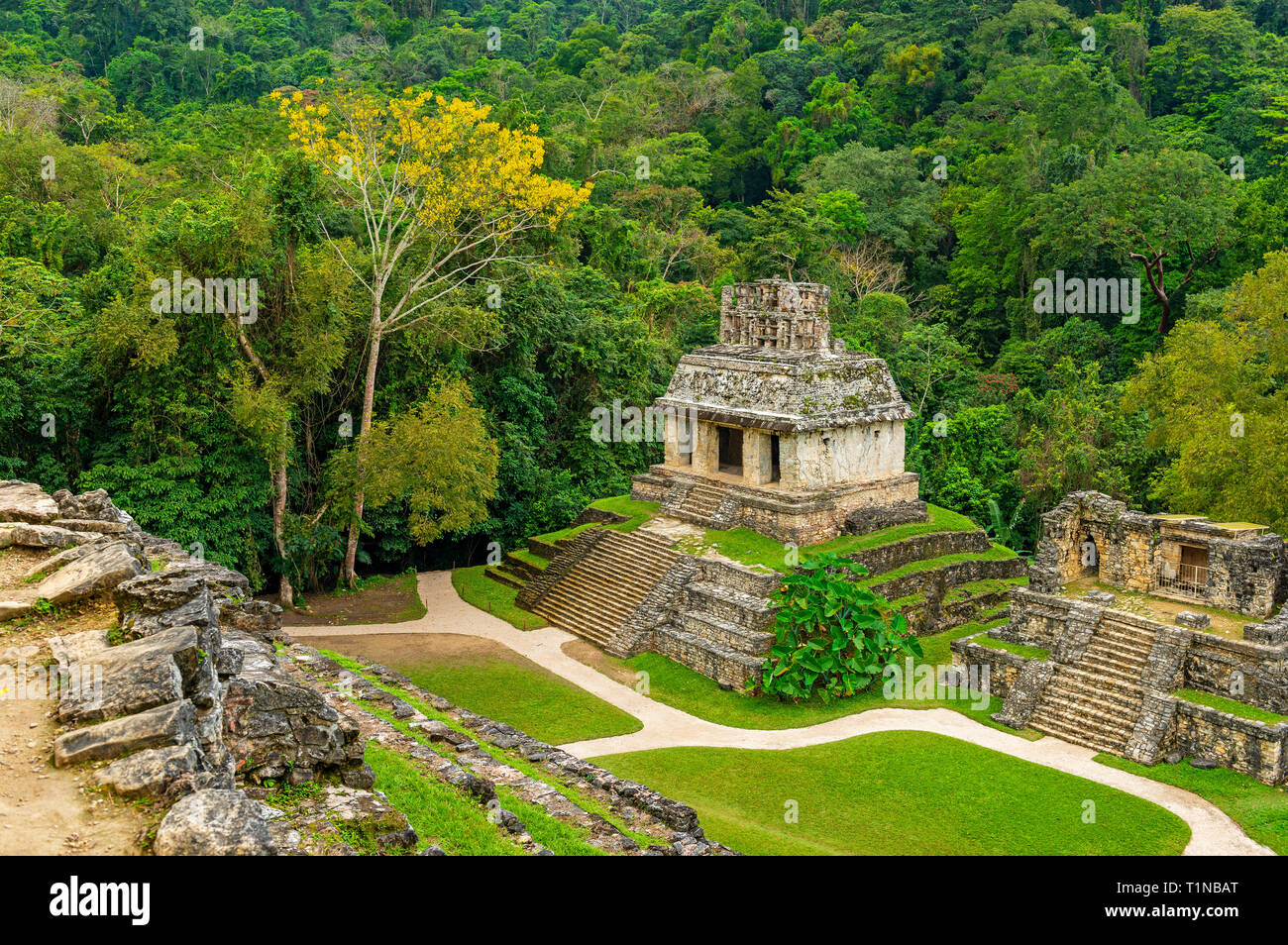 Inside Ancient Mayan Temples