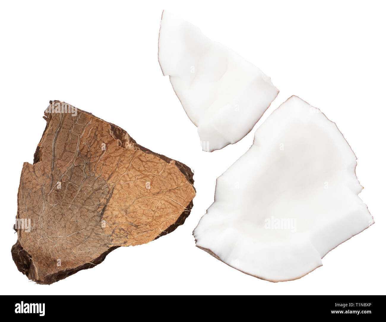 Coconut pieces isolated on white background with clipping path Stock ...