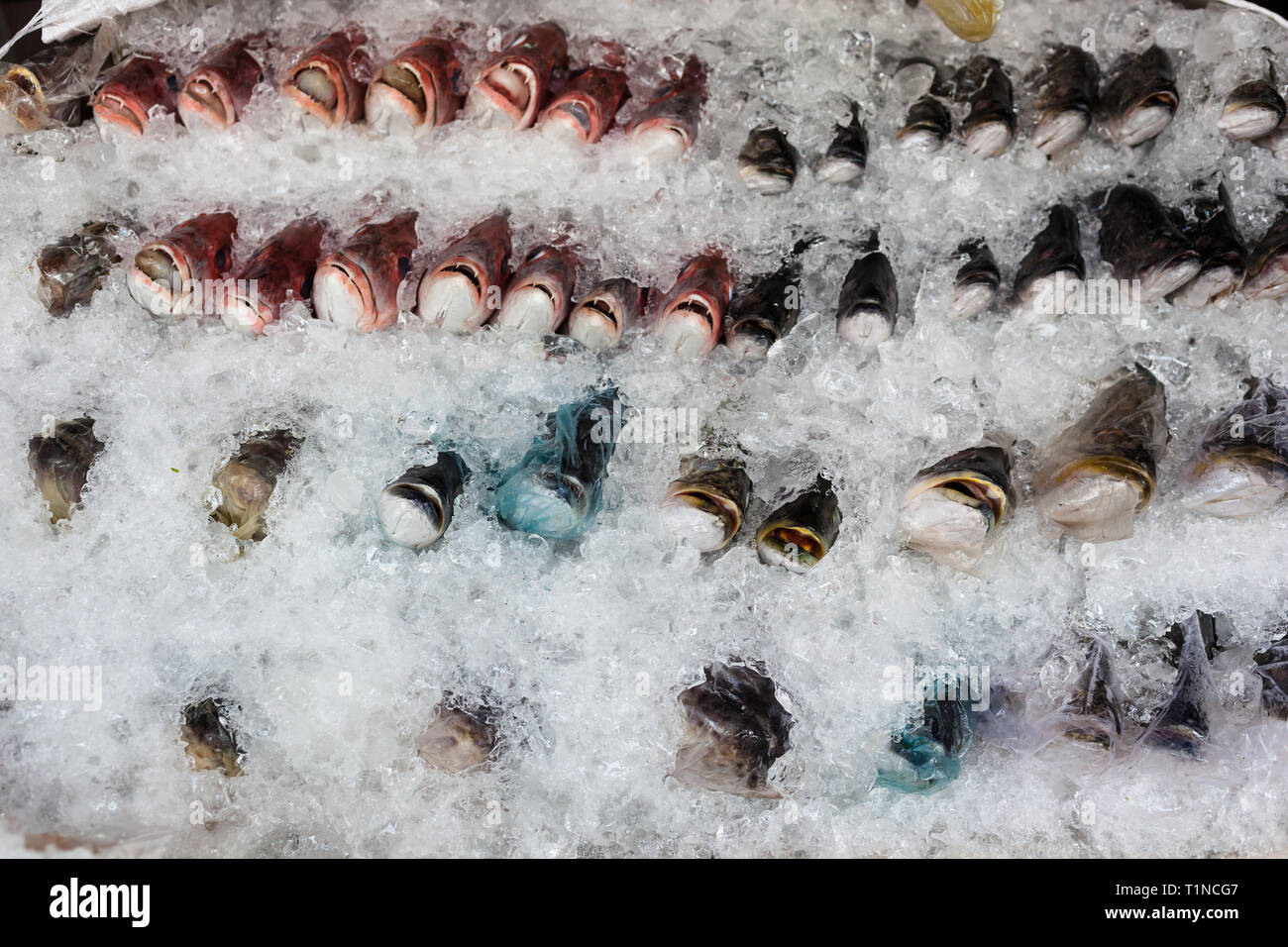 funny display at fish market Stock Photo - Alamy
