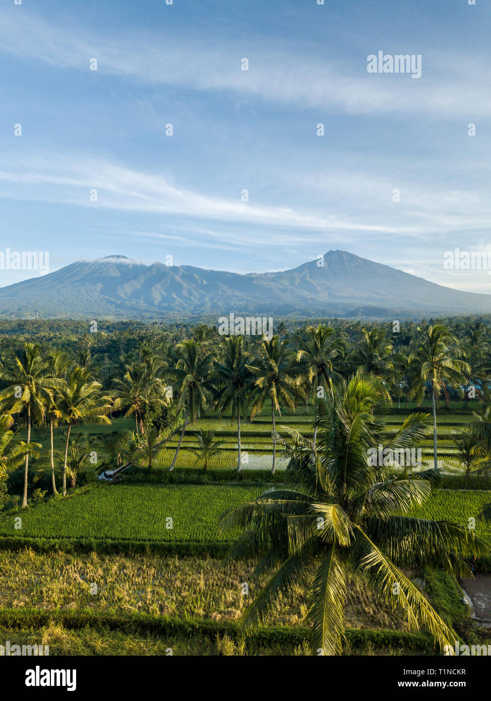 Aerial sunrise view of Mount Rinjani in Lombok, Indonesia Stock Photo ...