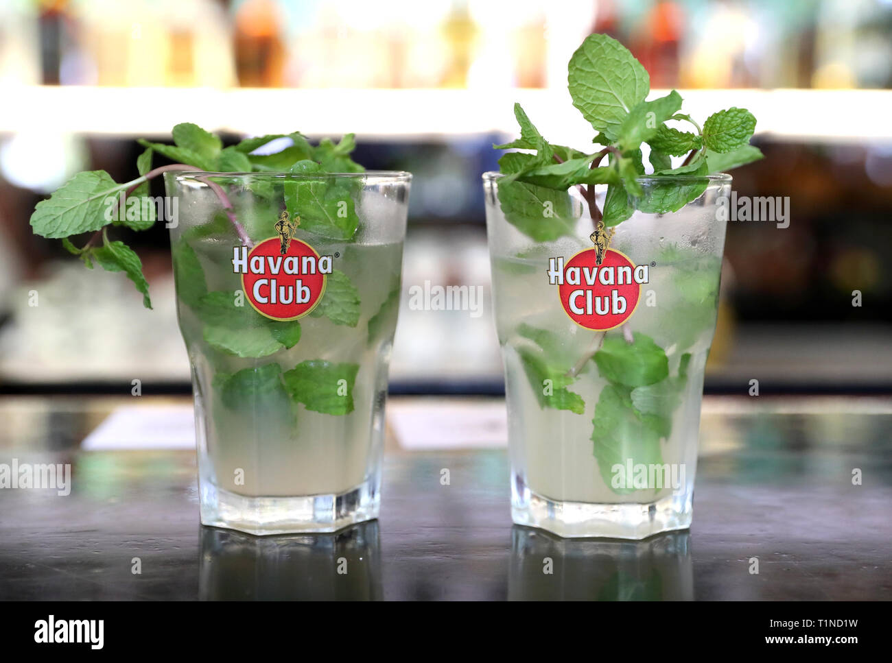 Mojitos made by the Prince of Wales and the Duchess of Cornwall as they ...