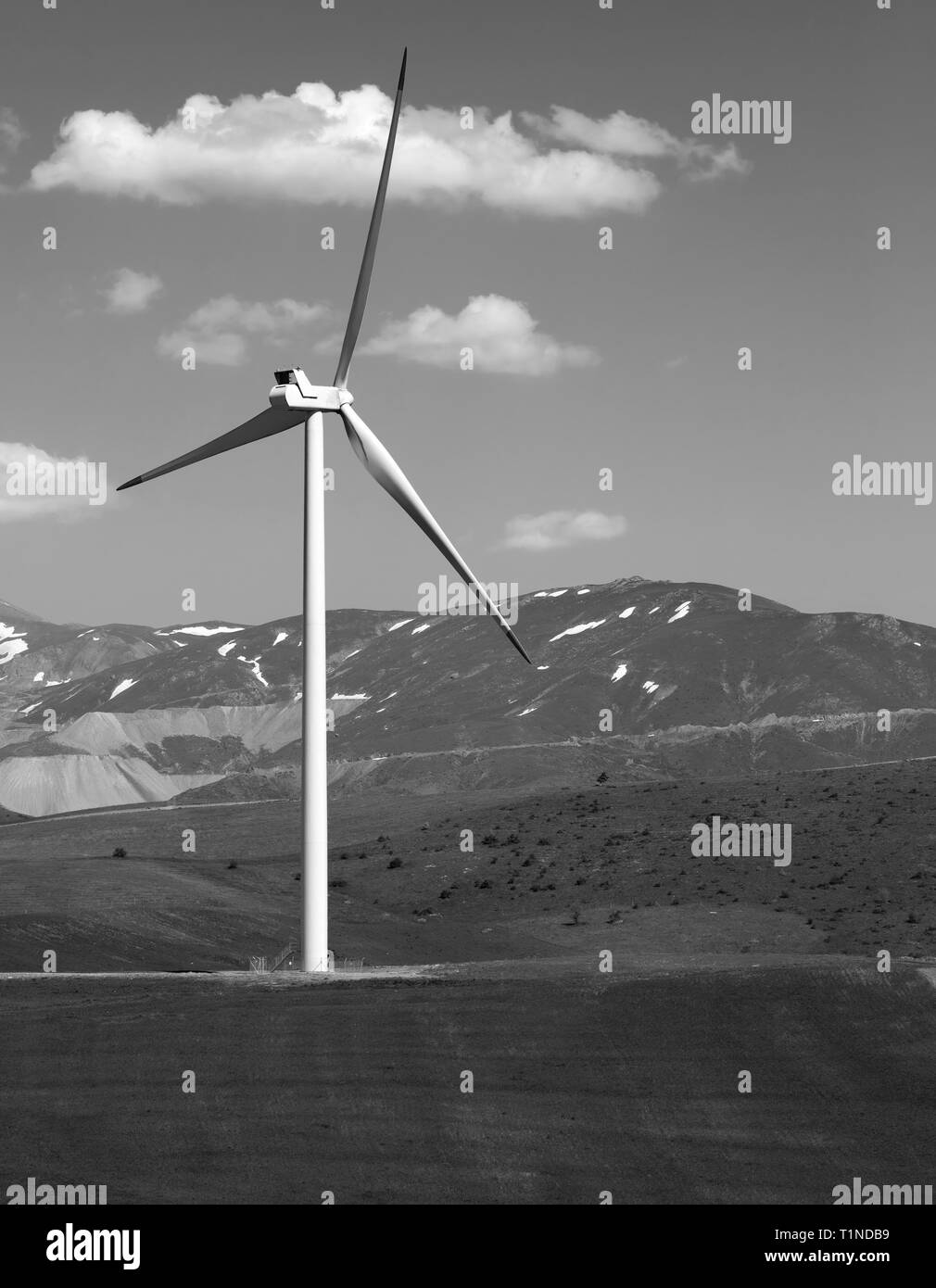 Spring sail Black and White Stock Photos & Images - Alamy