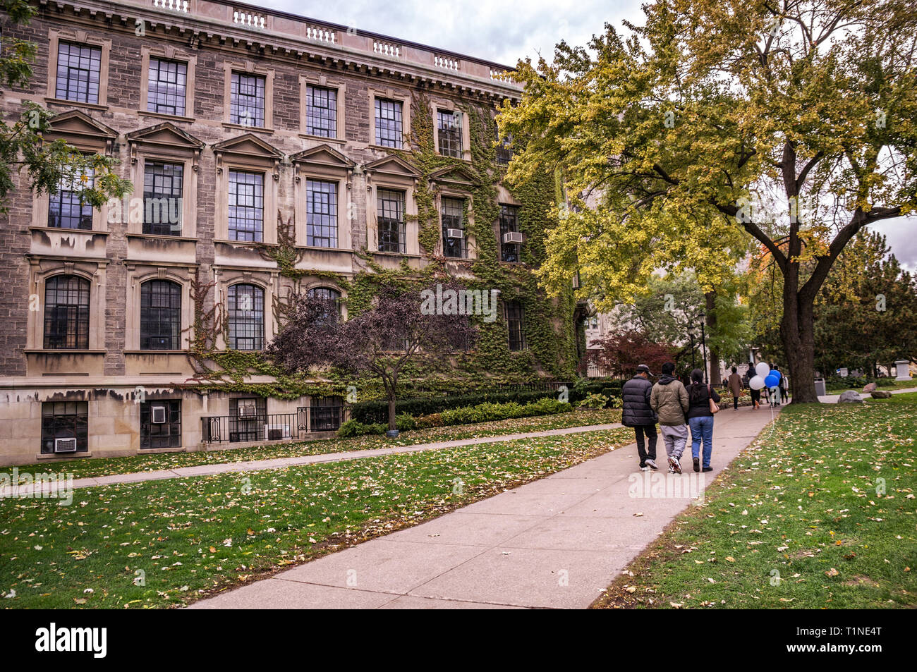 David naylor hi-res stock photography and images - Alamy