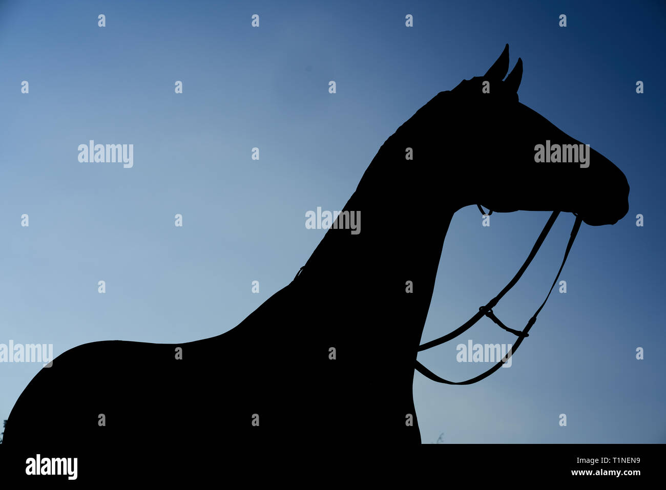 A silhouette of the statue of Kauto Star in the parade ring at Kempton ...