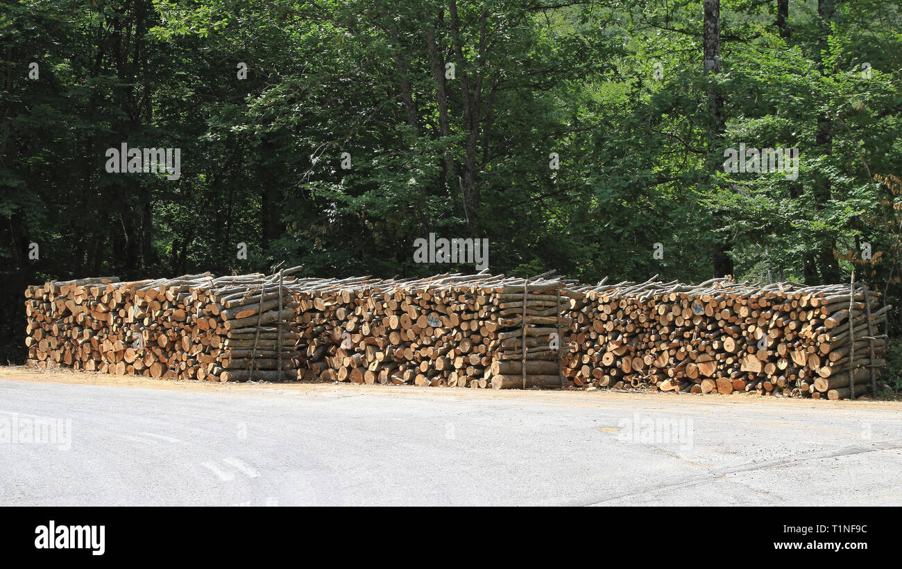 Firewood Logs Stacked and Prepared for Winter Logging Stock Photo - Alamy