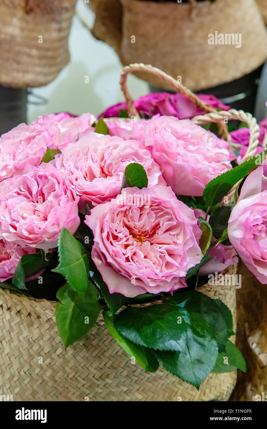 Exotic Roses of pink modern elite varieties in the bouquet as a gift ...